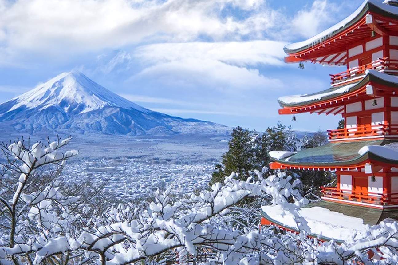 Mount Fuji's most beautiful train experience | Asama Park + Nikawa ...